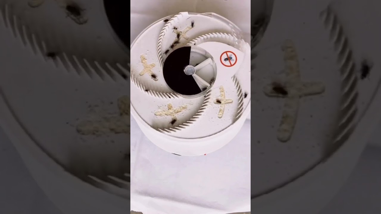 Bye Bye Bugs: The Ultimate Fly-Catching Device for Summer