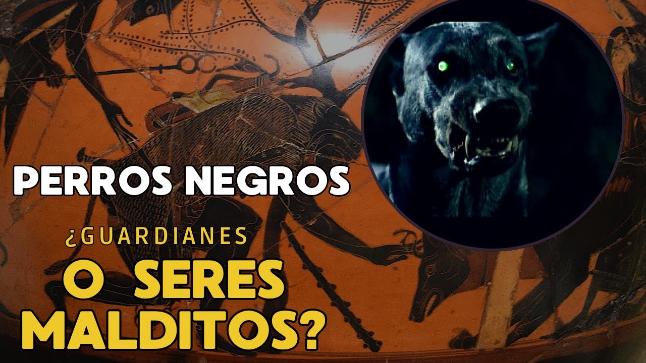 Los perros negros en el folklore y la Historia