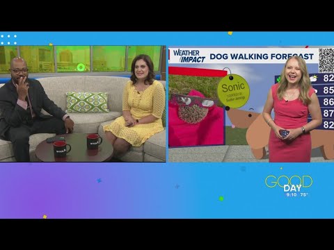Barkley's birthday forecast: Warm, muggy with chances of pop-up storms | WTOL 11 Weather - June 25