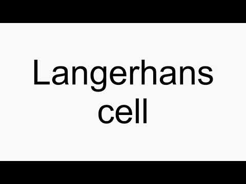 How to pronounce Langerhans cell