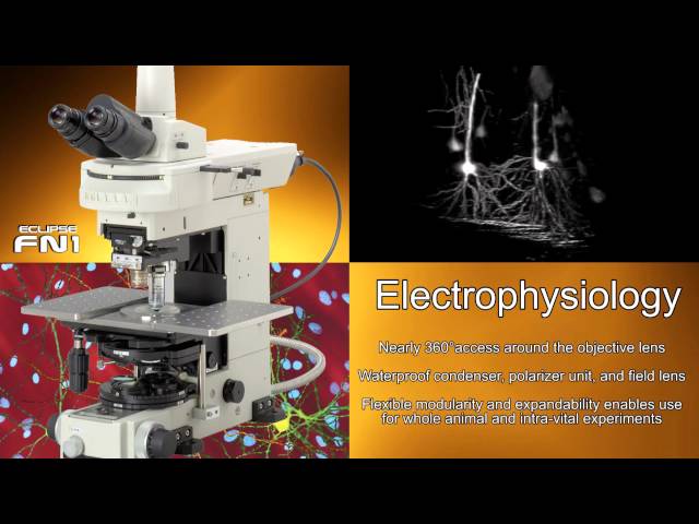 Laboratory Instrument - Biotek Epoch 2 Microplate Spectrophotometer ...