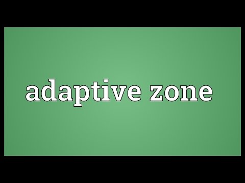 Adaptive zone Meaning