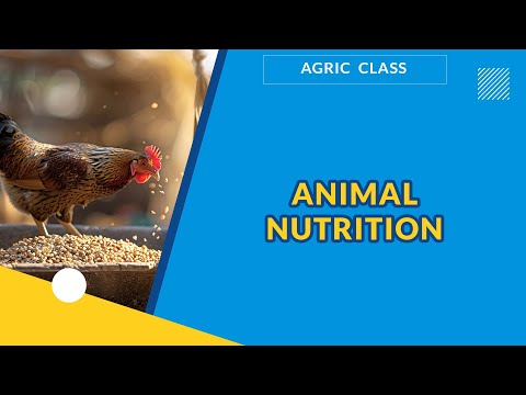 ANIMAL NUTRITION | AGRICULTURE | EXAMGUIDE