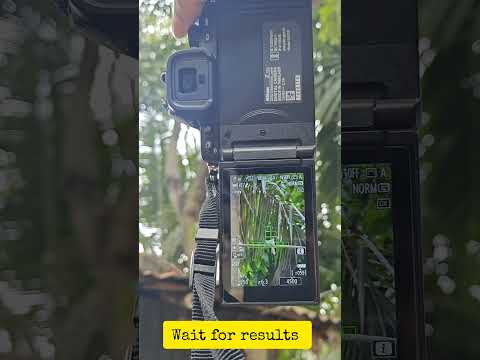 Nikon z50 ii 18-140 mm photography #photography #lover