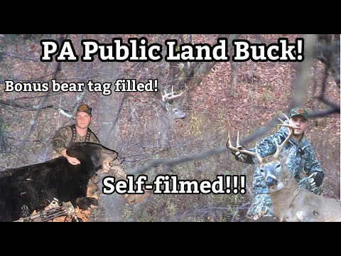 BIG PA Public Land Archery Hunt 2024!!! Bonus PA Archery Bear tag filled!!! - Ridge Raised Outdoors