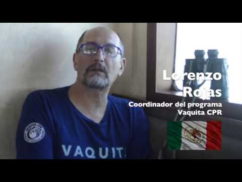 Lorenzo Rojas coordinador del programa #vaquitaCPR | Secretaría de ...