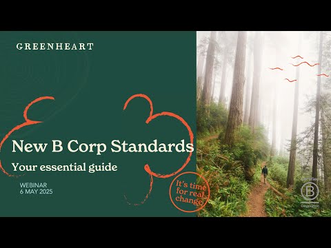 B Corp New Standards; Your Essential Guide