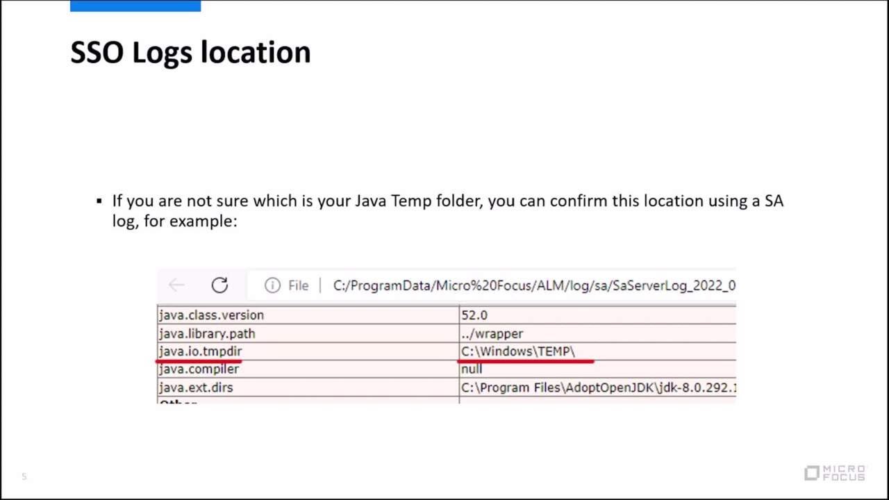 ALM: SSO Logs on ALM