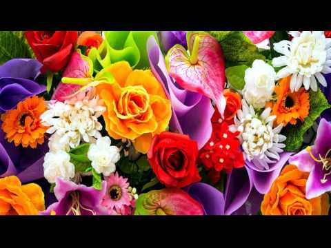 Bouquet | Mixed Flowers & Bouquets Ideas