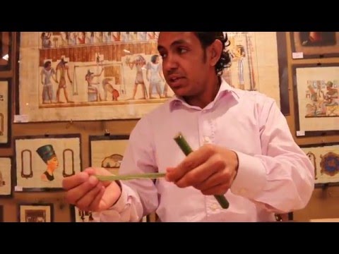Papyrus: How Egyptians use the plant to write and paint
