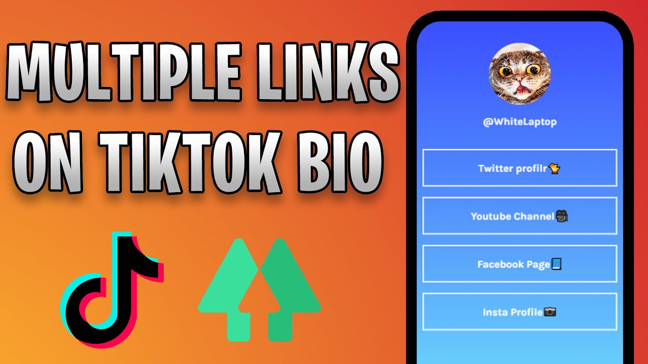 How to Make a Linktree on TikTok