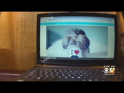 Be Wary Of Online Puppy Purchases; Veterinarian Group Says Pet Scams Are Rampant, Particularly In Te