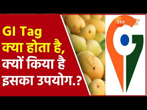 What is GI Tag? | Geographical Indications का क्या फायदा होता है, जानिए सब कुछ | Hindi News