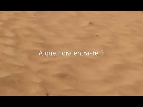 How to say What Time Did You Enter in Spanish