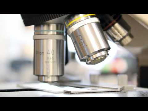 2012 QB3-UCSF Course in Biological Light Microscopy