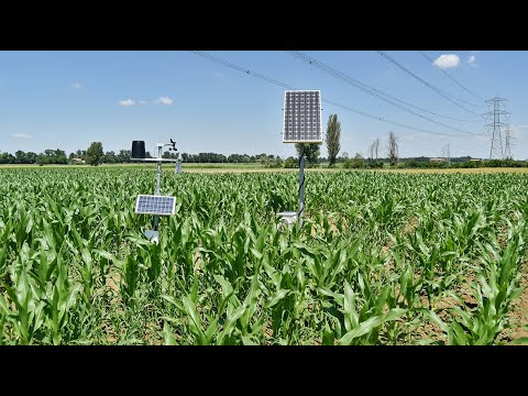 Soil water content monitoring with gamma ray spectroscopy