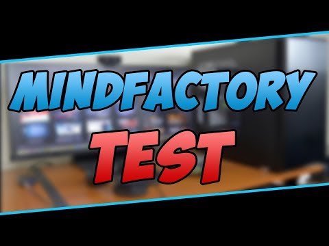 MINDFACTORY im TEST | WIRKLICH GUT?
