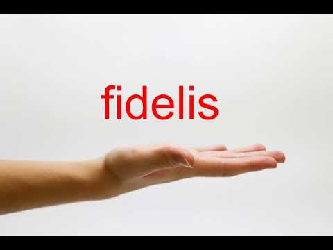 How to Pronounce fidelis - American English