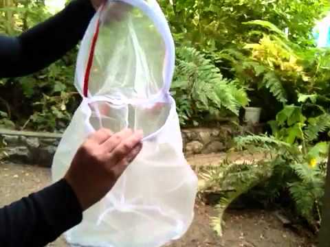 Zipper All Mesh Bubble  Washing Machine Bag Review