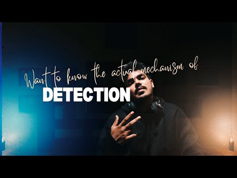 this is How Detection Works in Face Recognition Project with python