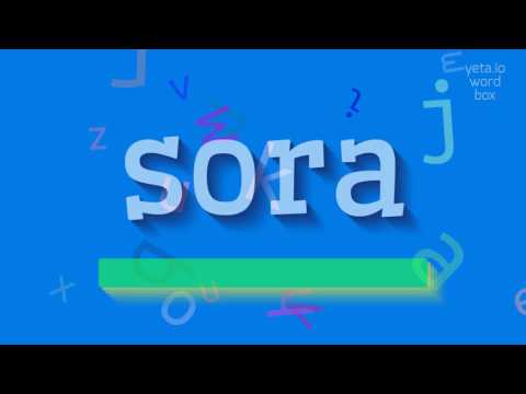 How to say "sora"! (High Quality Voices)