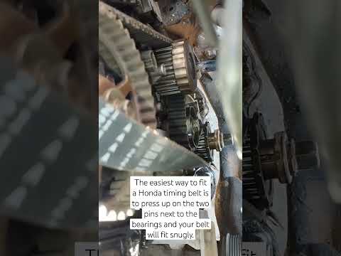 Honda #d16 #D17 What is the Honda timing belt number? #honda #kia #automobile #worldcup2023