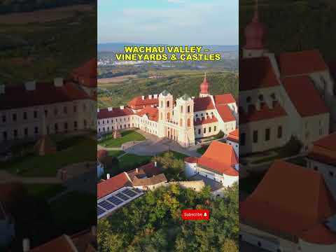Wachau Valley 🍇 | Austria’s Vineyard Dream #shorts
