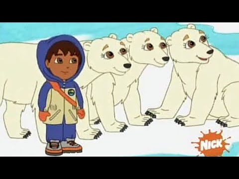 We Are Polar Bears - Go Diego Go Compilation Video