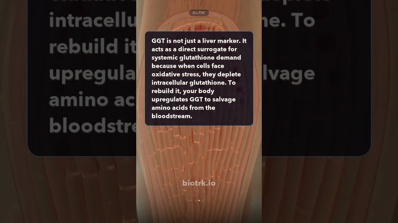 A normal GGT (Gamma-glutamyl transferase) on your lab PDF tells your physician you do not #Shorts
