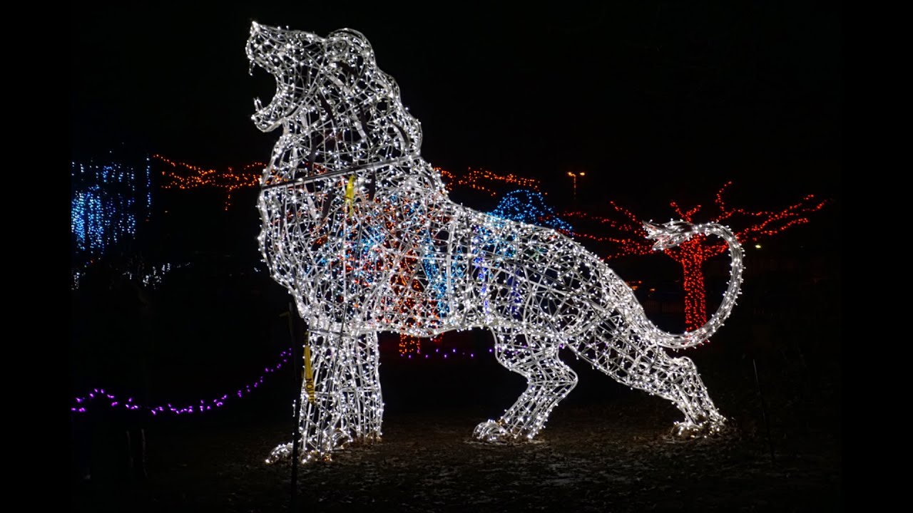 Detroit Zoo Wild Lights 2019 I Best Christmas Lights?