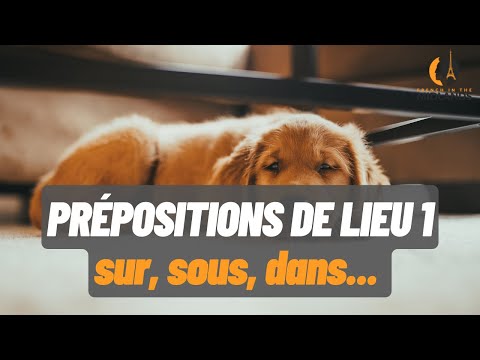 French Prepositions of Place 1 - sur, sous, dans...