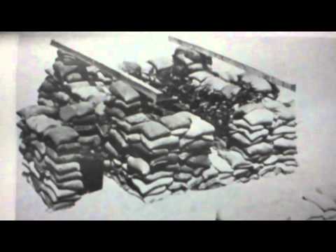 Real Dumbing Down the Military Manuals PROOF