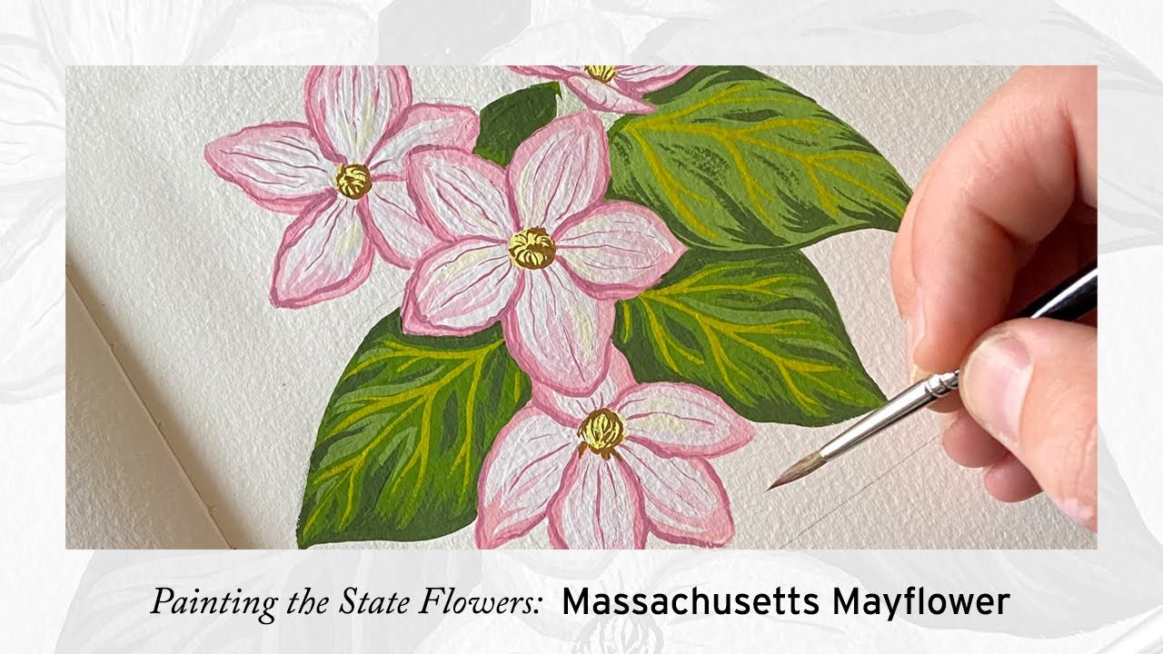 Painting Mayflower 🎨 Massachusetts State Flower • Gouache Art