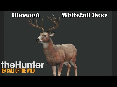 Steam Community :: Video :: Diamond Whitetail Deer (theHunter: Call of ...