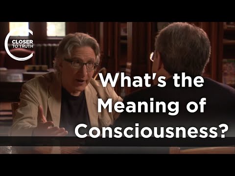 Ned Block - What's the Meaning of Consciousness?