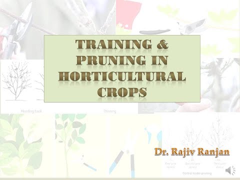 TRAINING & PRUNING INHORTICULTURAL CROPS