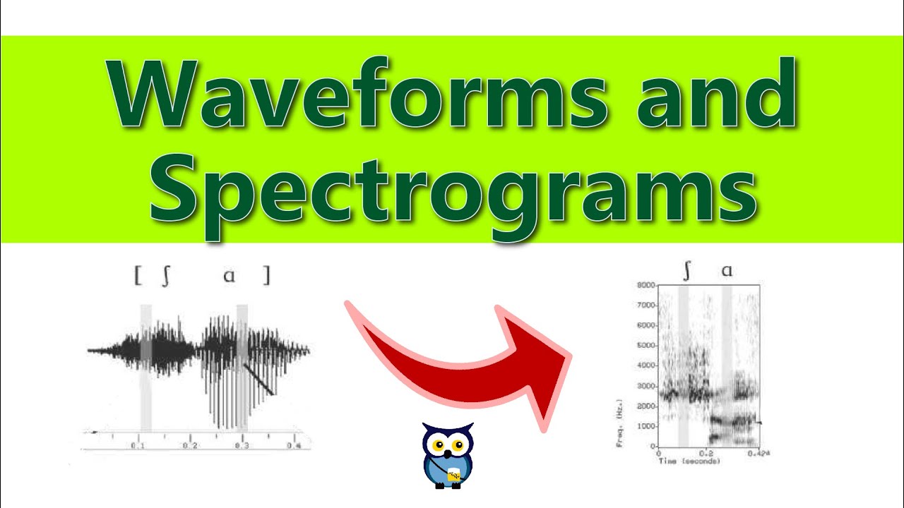 Waveforms and Spectrograms