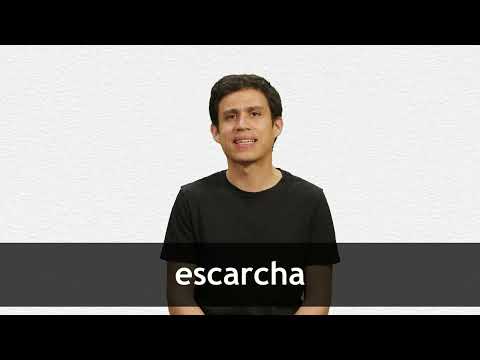 English Translation of “ESCARCHA” | Collins Spanish-English Dictionary