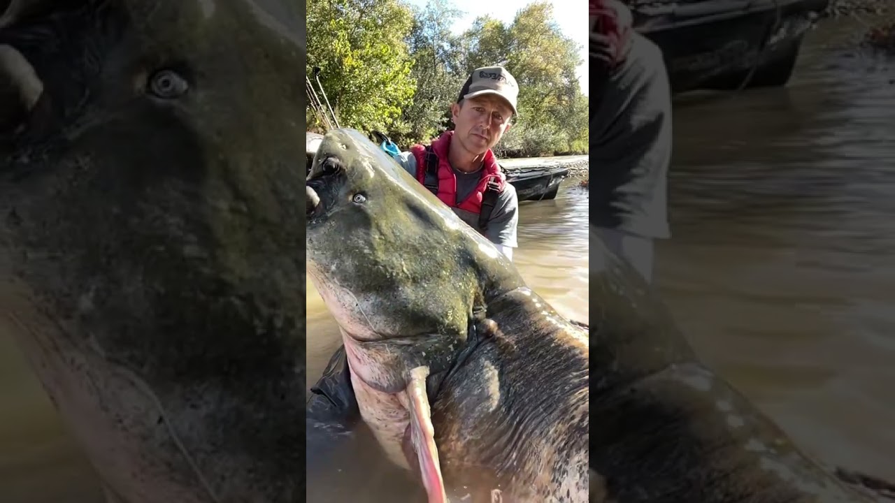 00054 MONSTER for Halloween 🎃 #predator #monster #catfishing #vagnerfishing #monster