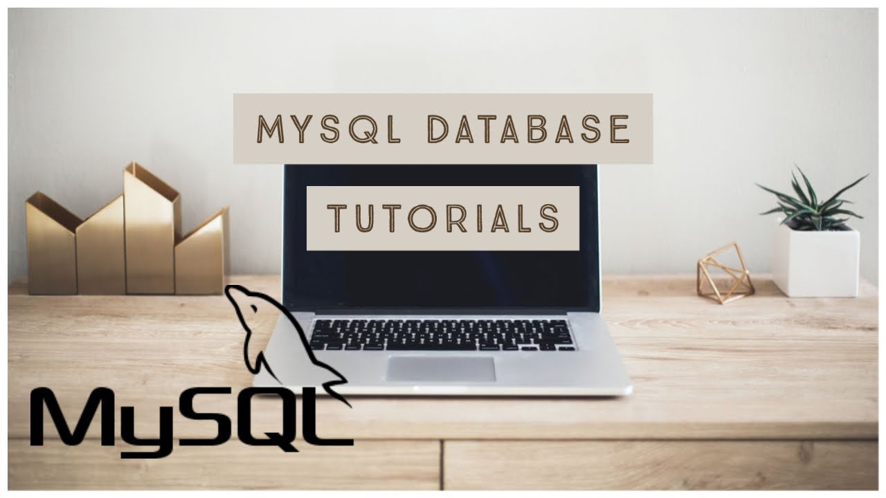 MySQL Tutorial 22 : Rollback