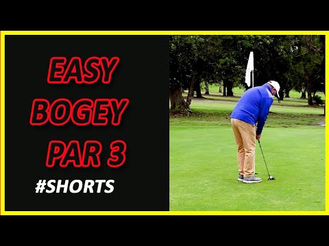 Easy Bogey On A Par 3 Hole #shorts