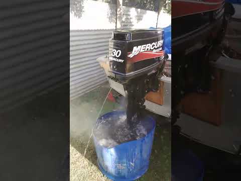 2010 Mercury 30hp 2stroke