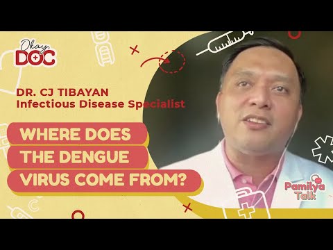 Where does the dengue virus come from? | Okay, Doc! Highlights