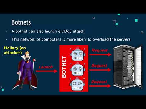 Bots and Botnets