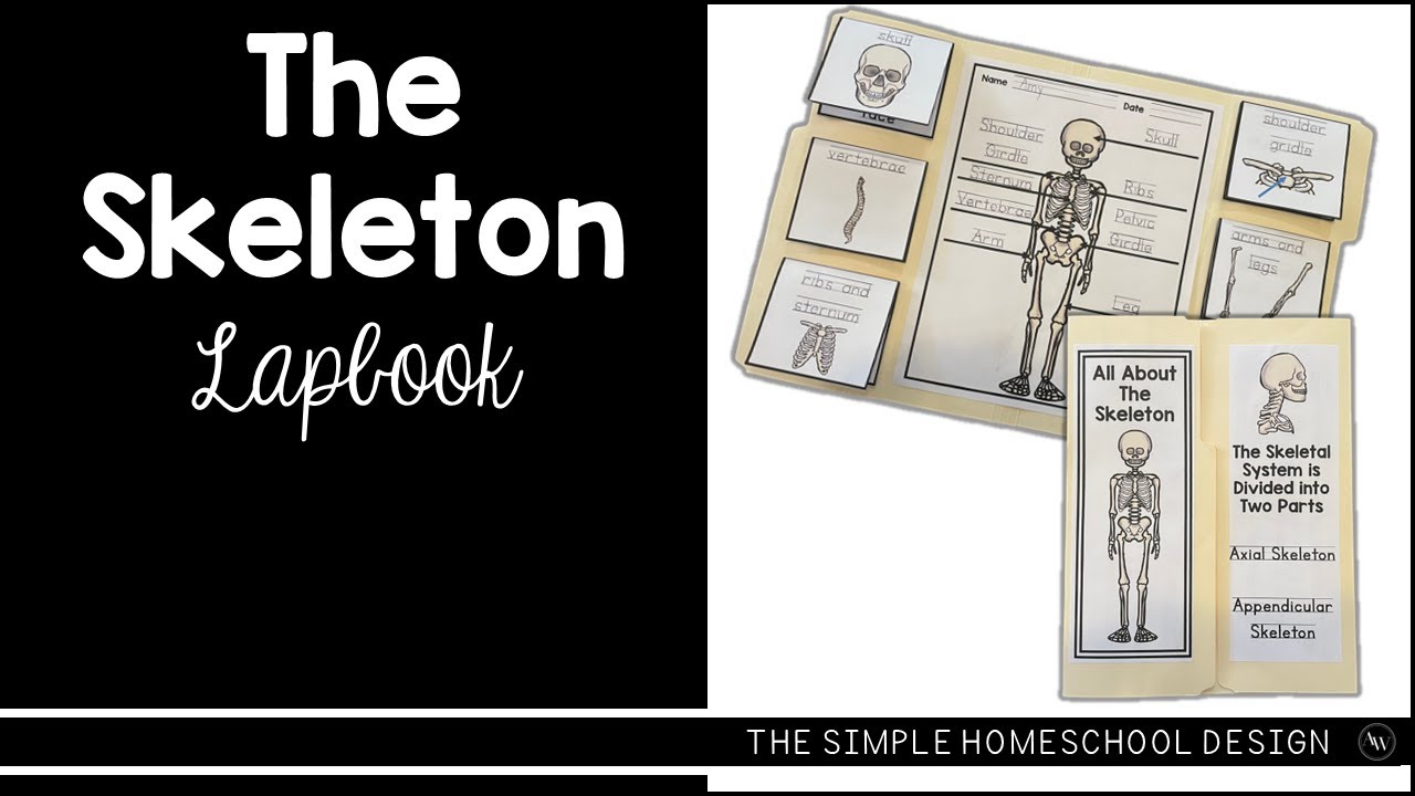 The Skeleton Lapbook