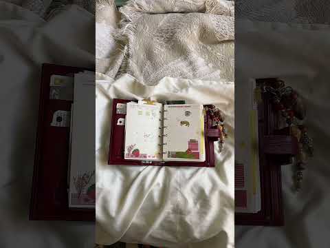 my 2025 planner setup is complete!!✨#filofax #planner #2025 #2025planner #2025planning #ringsplanner
