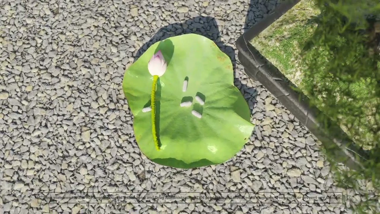 853919008564 video