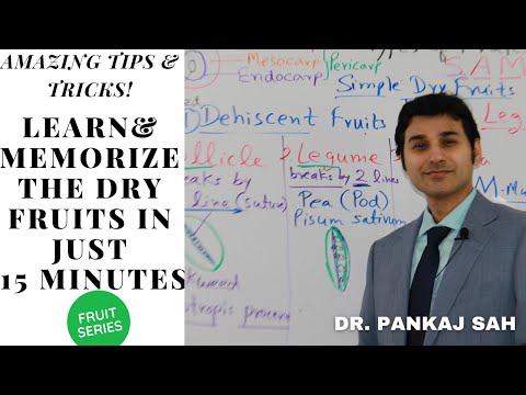 FRUITS- PART 7 (ALL DRY DEHISCENT FRUITS IN DETAIL)
