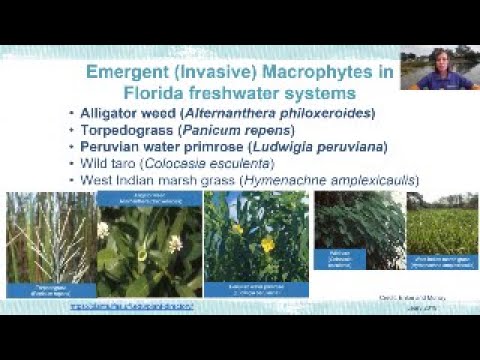 Invasive Species: Episode 06 – Invasive Aquatic Plants