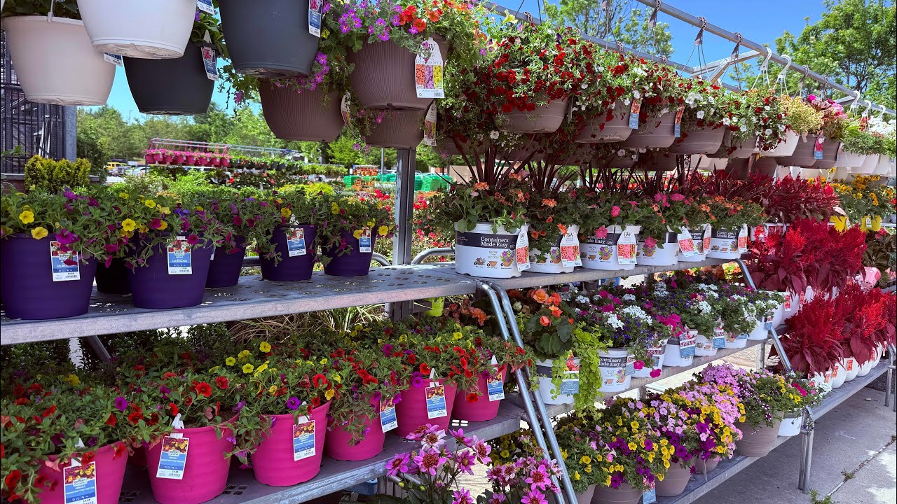 Walmart Garden Center Inventory Check 🌱 What’s In Stock Right Now?